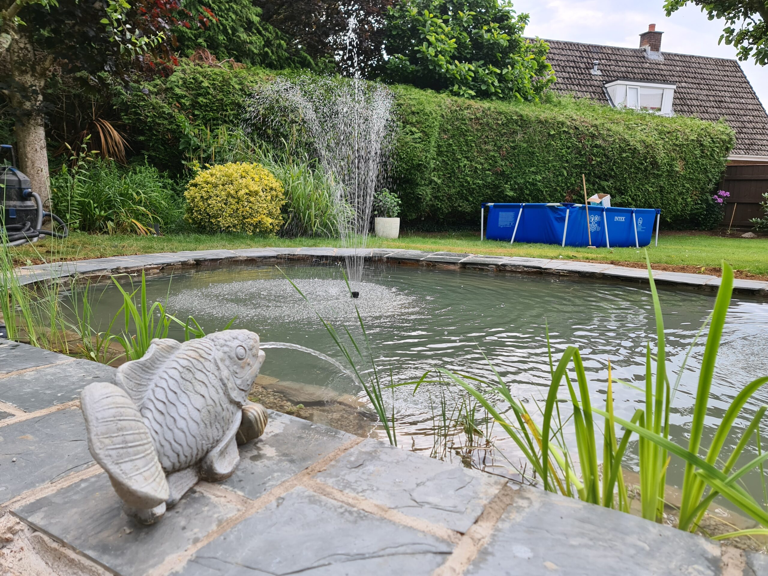 Garden Pond Refurbishment in Tavistock, Devon - Specialist Aquatics ...